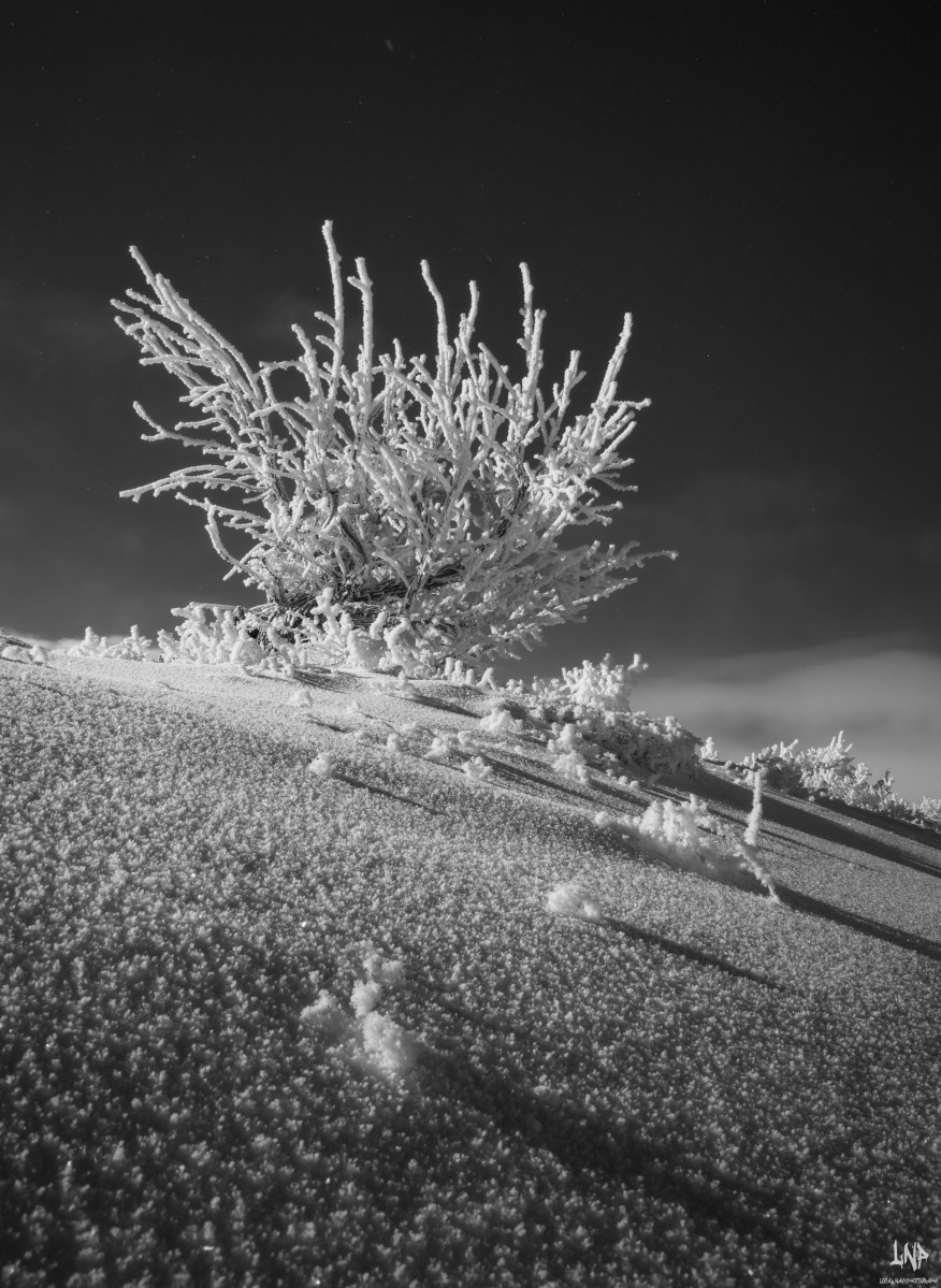 When to upgrade your kit lens? – Chris Benabise Photography