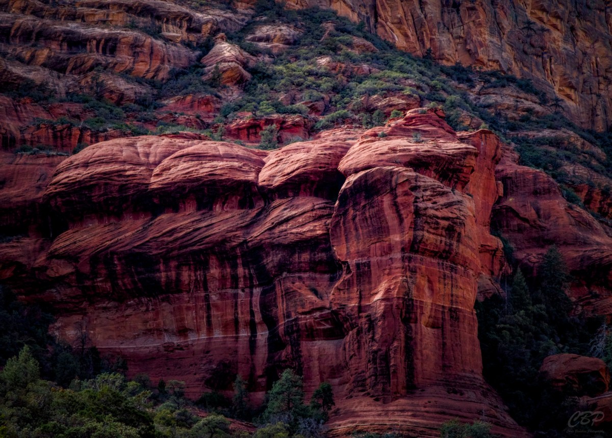 Built in the Shadows: What Do Wrestling, Welding, and Photography Have ...